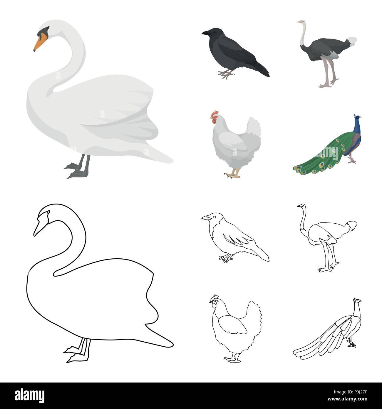 Crow, ostrich, chicken, peacock. Birds set collection icons in cartoon ...