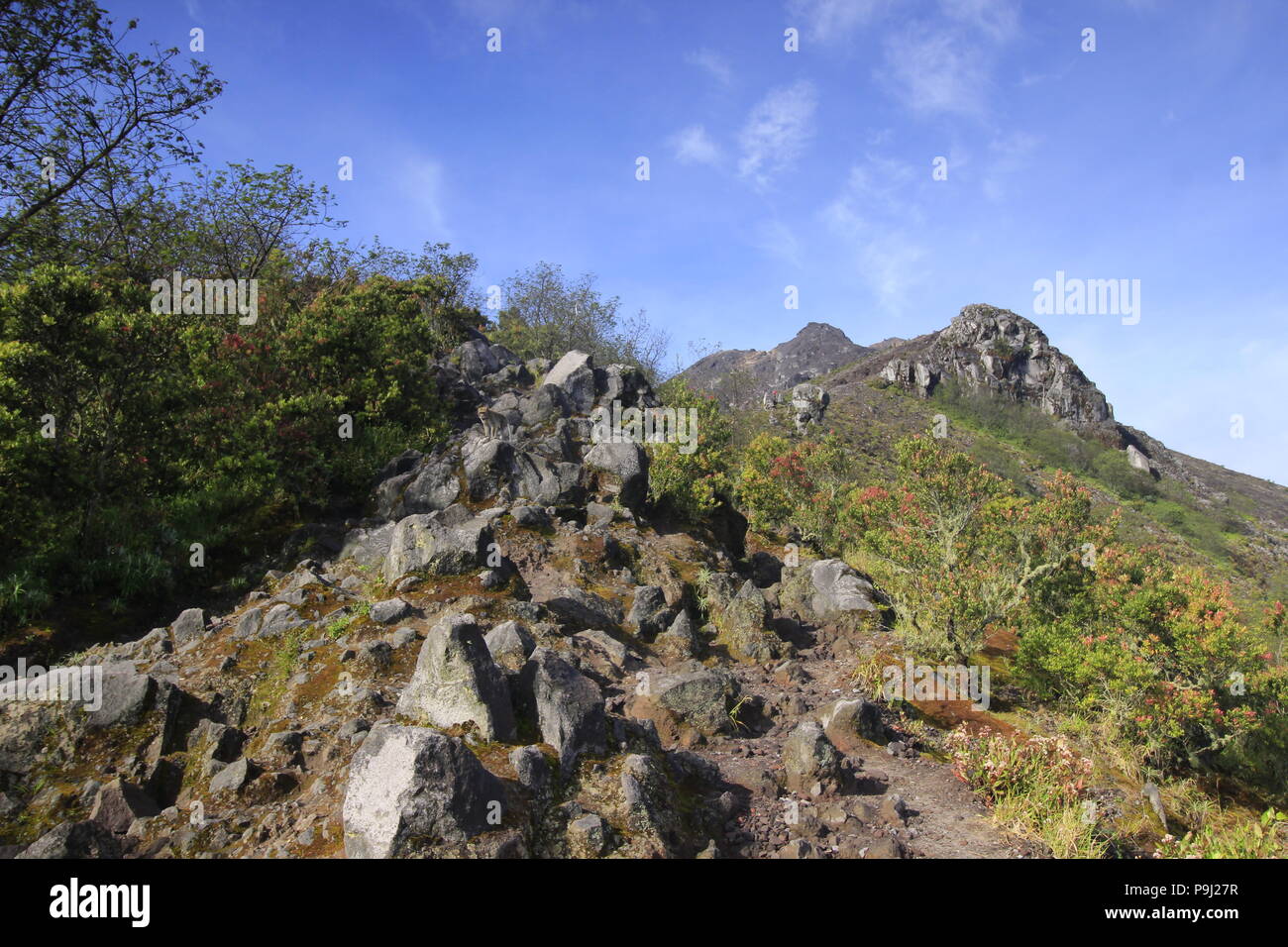 merapi volcano after eruption Stock Photo - Alamy