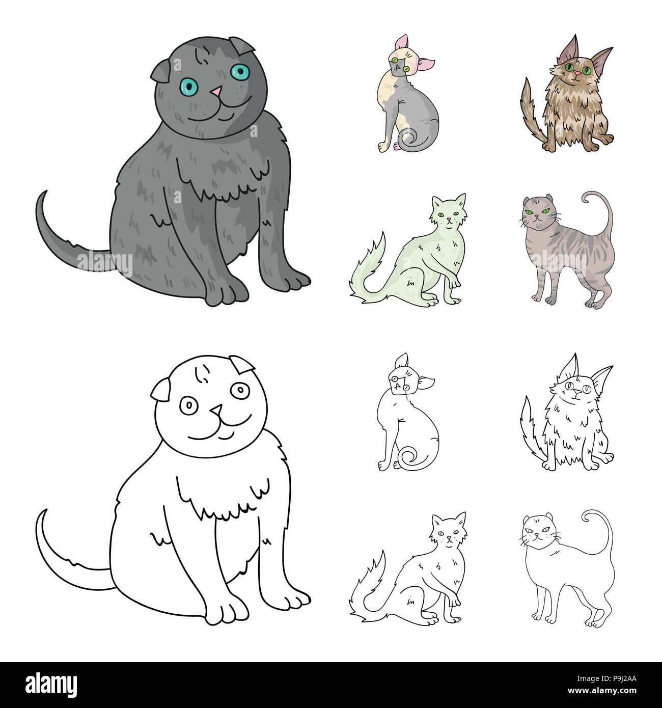 Turkish Angora, British longhair and other species. Cat breeds set ...