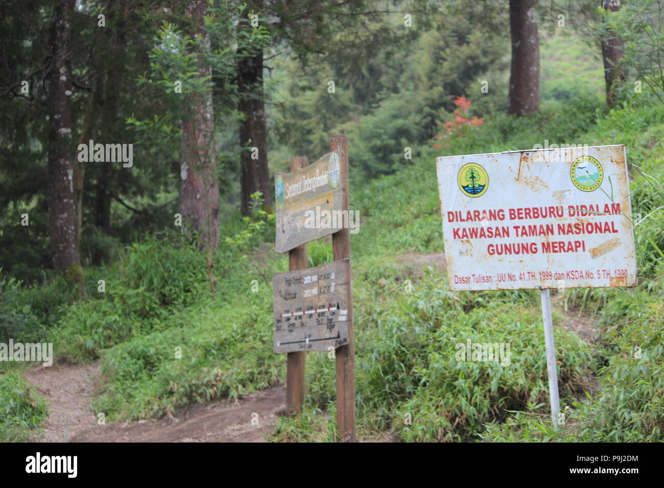 merapi volcano after eruption Stock Photo - Alamy