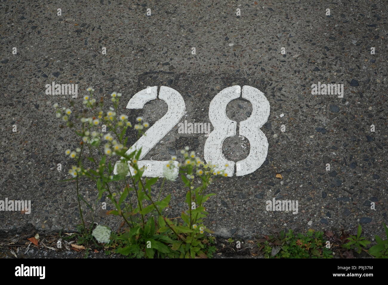 Asphalt Concrete Number 28 Stock Photo - Alamy