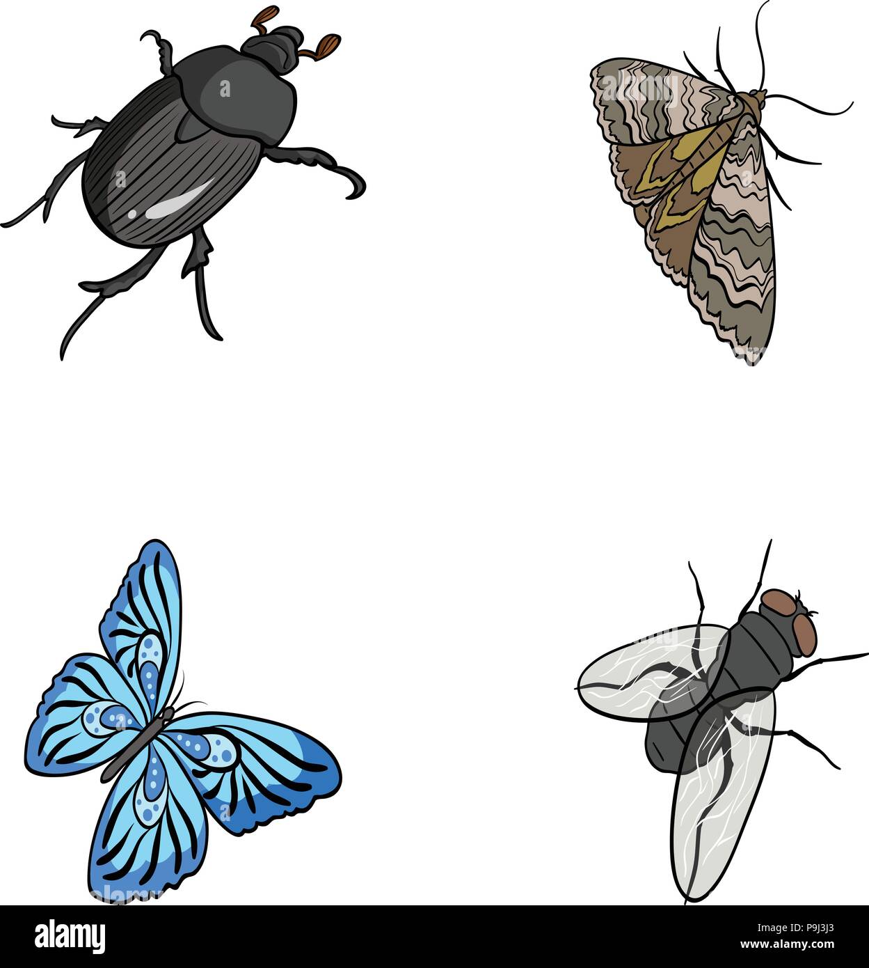 Arthropods insect beetle, moth, butterfly, fly. Insects set collection ...