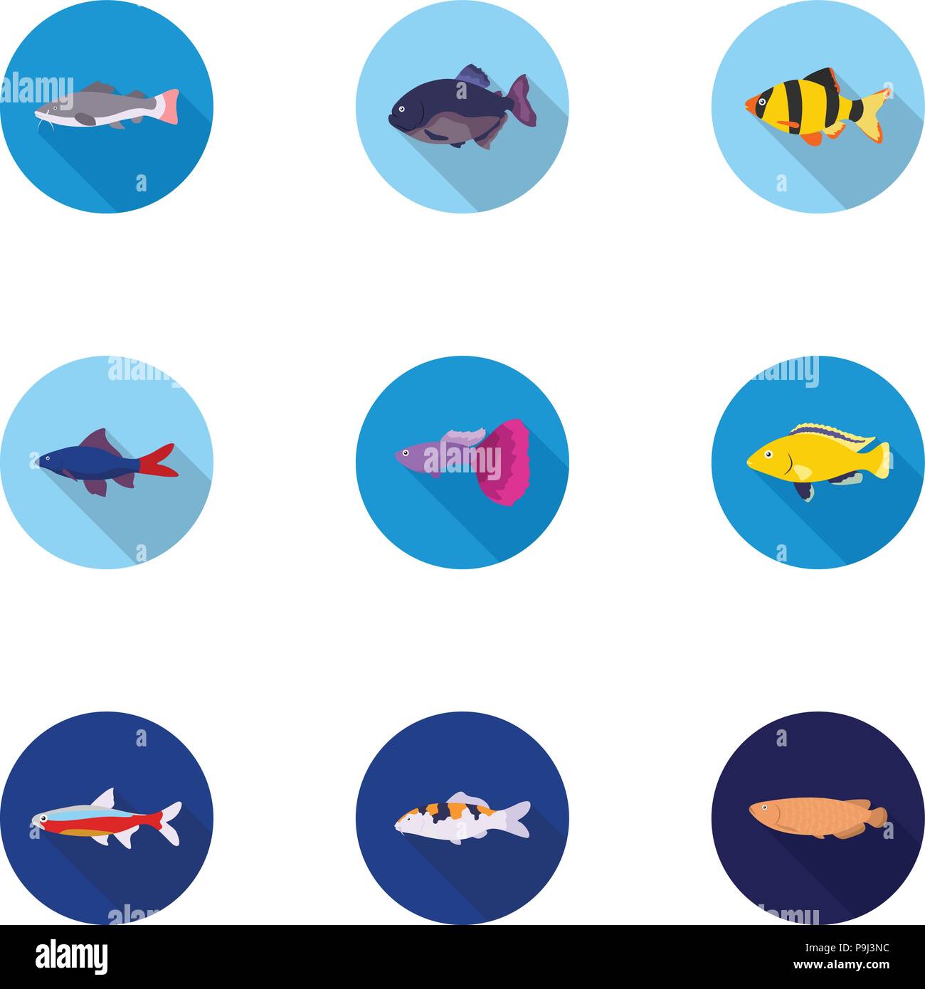 Aquarium fish set icons in flat style. Big collection of aquarium fish ...