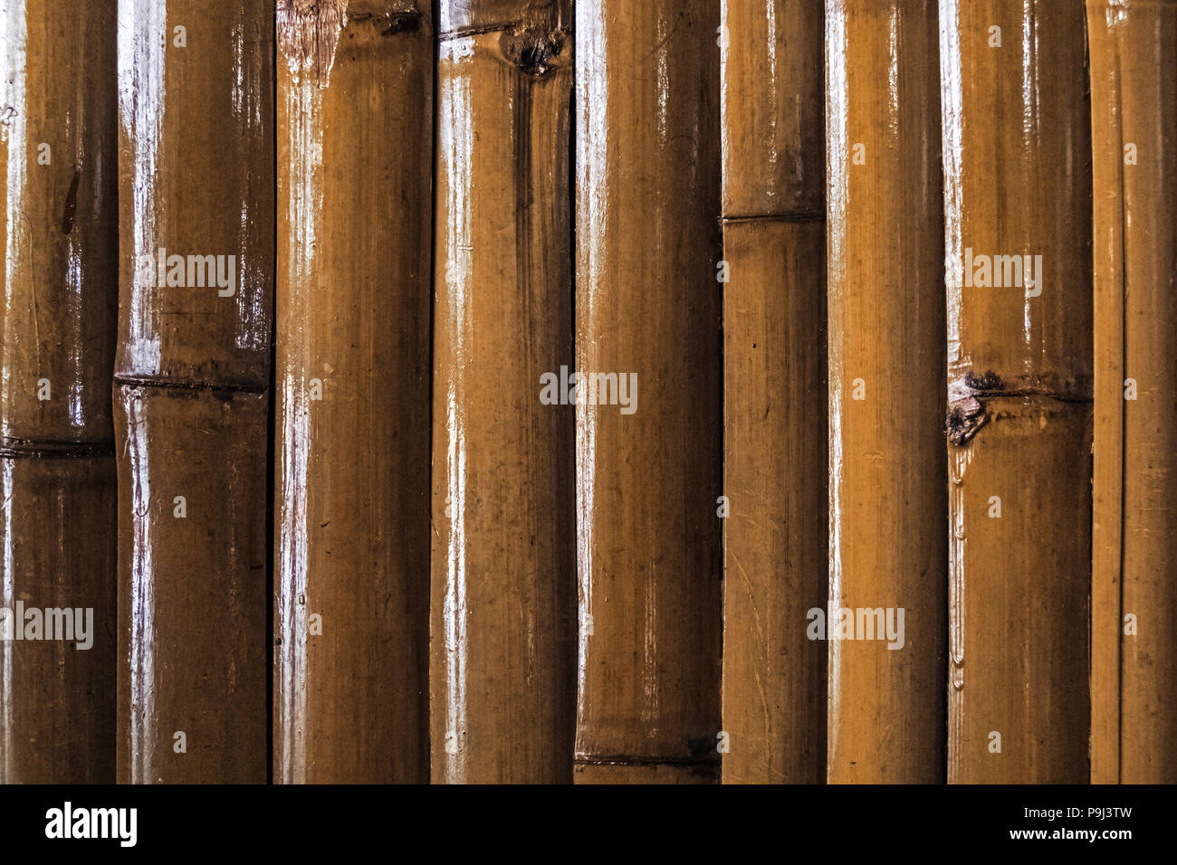 Bamboo wall or Bamboo fence texture background. close up. A wall of ...