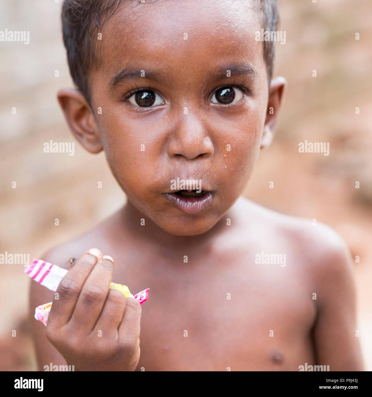 PONDICHERY, PUDUCHERRY, TAMIL NADU, INDIA - SEPTEMBER CIRCA, 2017 ...
