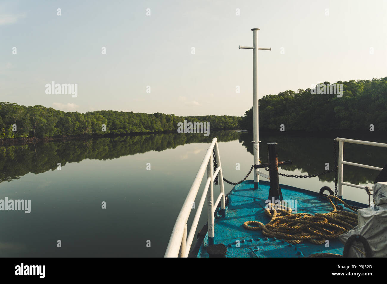 boat floats on a narrow canal of mangrove trees chelb. Boat ride ...
