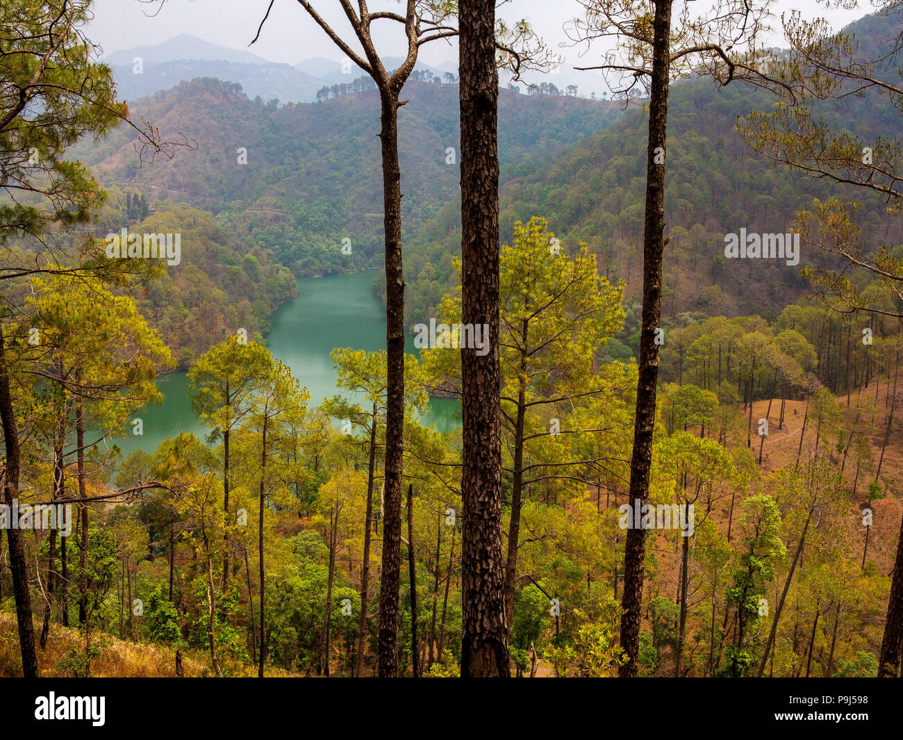 Sattal lake hi-res stock photography and images - Alamy