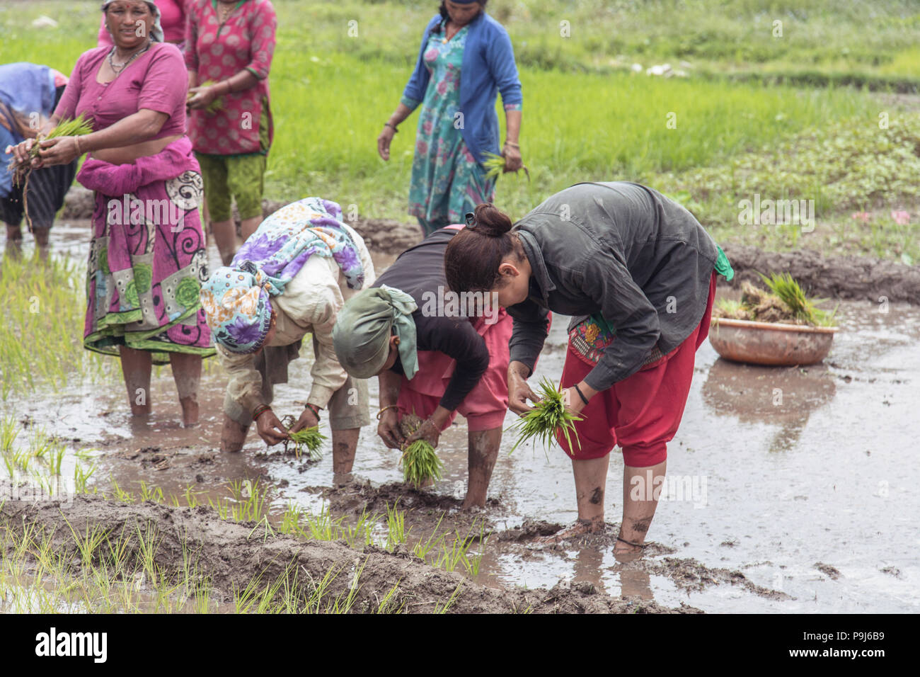 Indian village farmer hi-res stock photography and images - Alamy