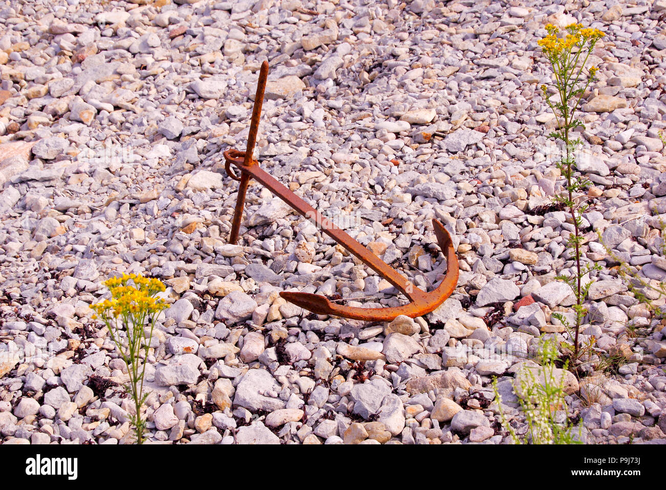 Landscapes on the island of Saaremaa in Western Estonia where people ...
