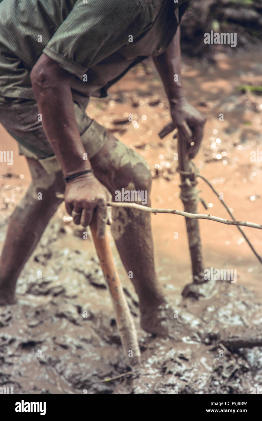 Yoke for the plow hi-res stock photography and images - Alamy
