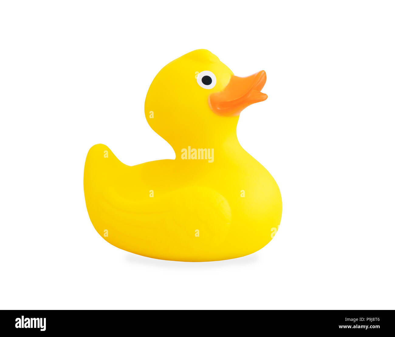 Yellow duckling swimming hi-res stock photography and images - Alamy