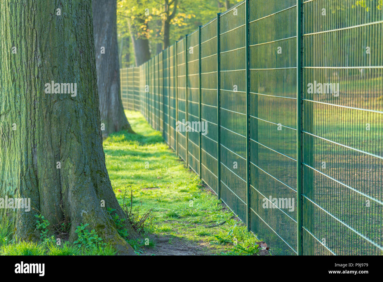 Metal fence in urban Park Stock Photo - Alamy