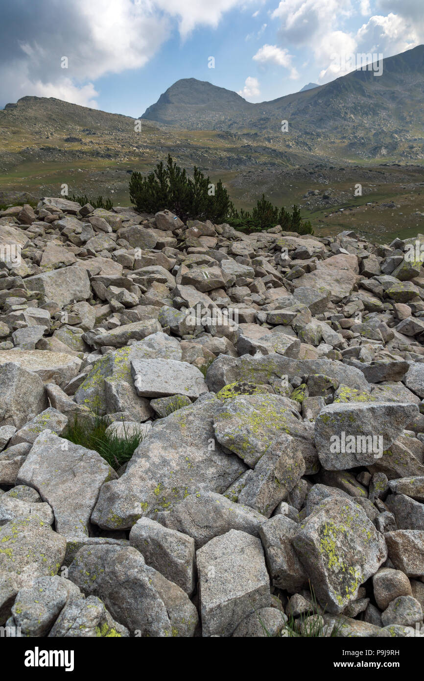 Amazing panorama to Spano pole, Pirin Mountain, Bulgaria Stock Photo ...