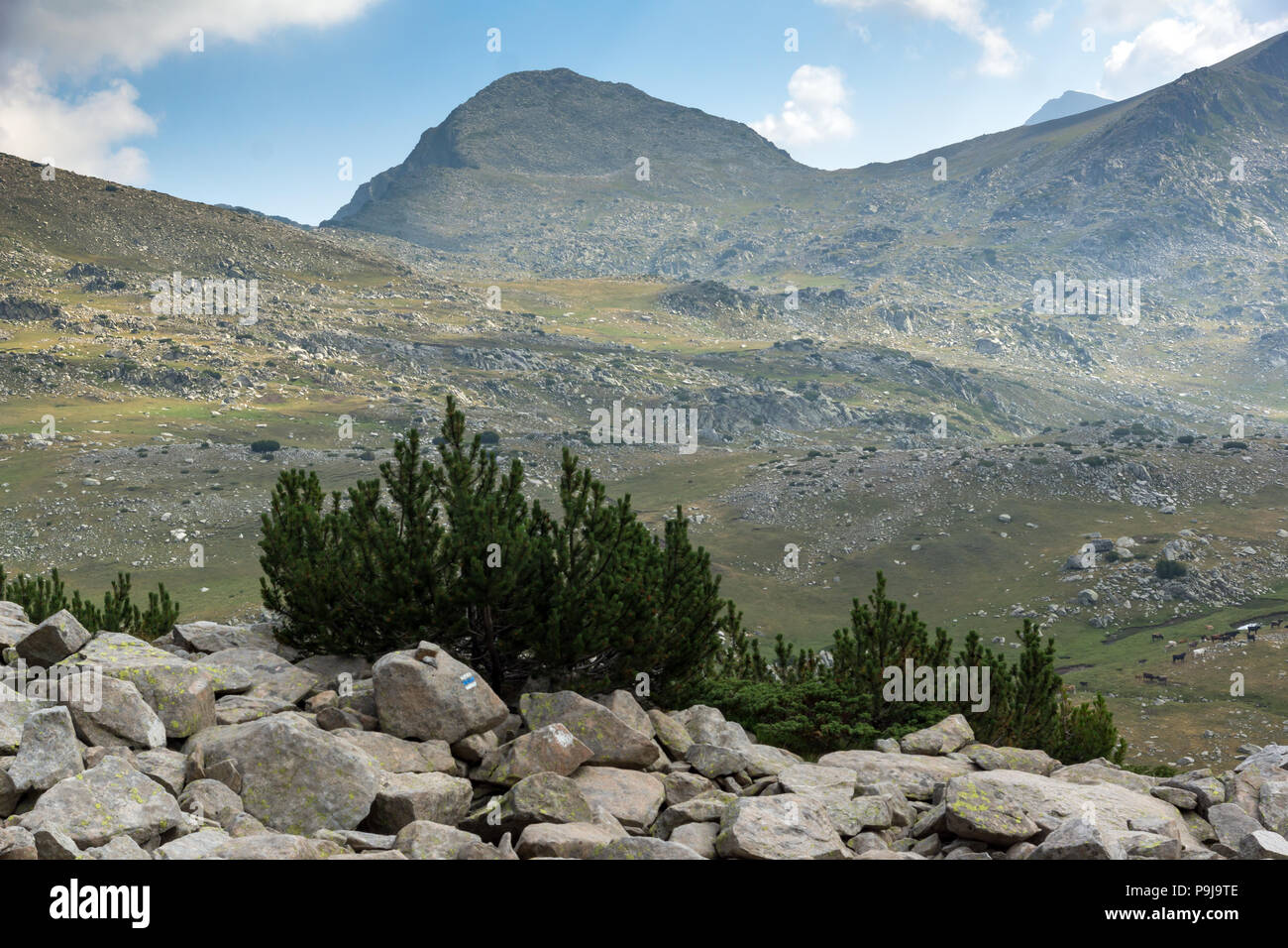 Amazing panorama to Spano pole, Pirin Mountain, Bulgaria Stock Photo ...
