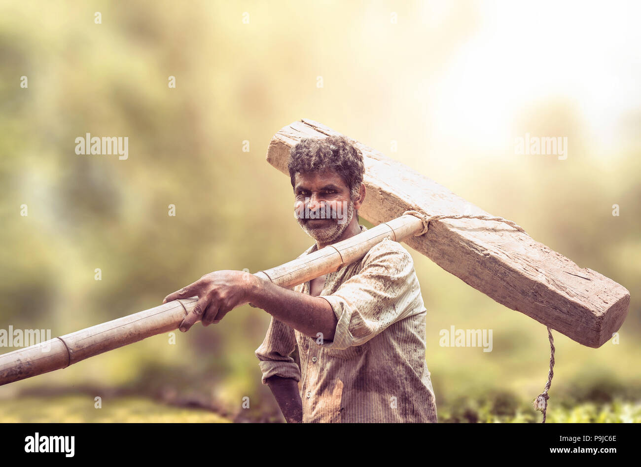 Happy Indian farmer standing with wooden plough in rice field Stock ...