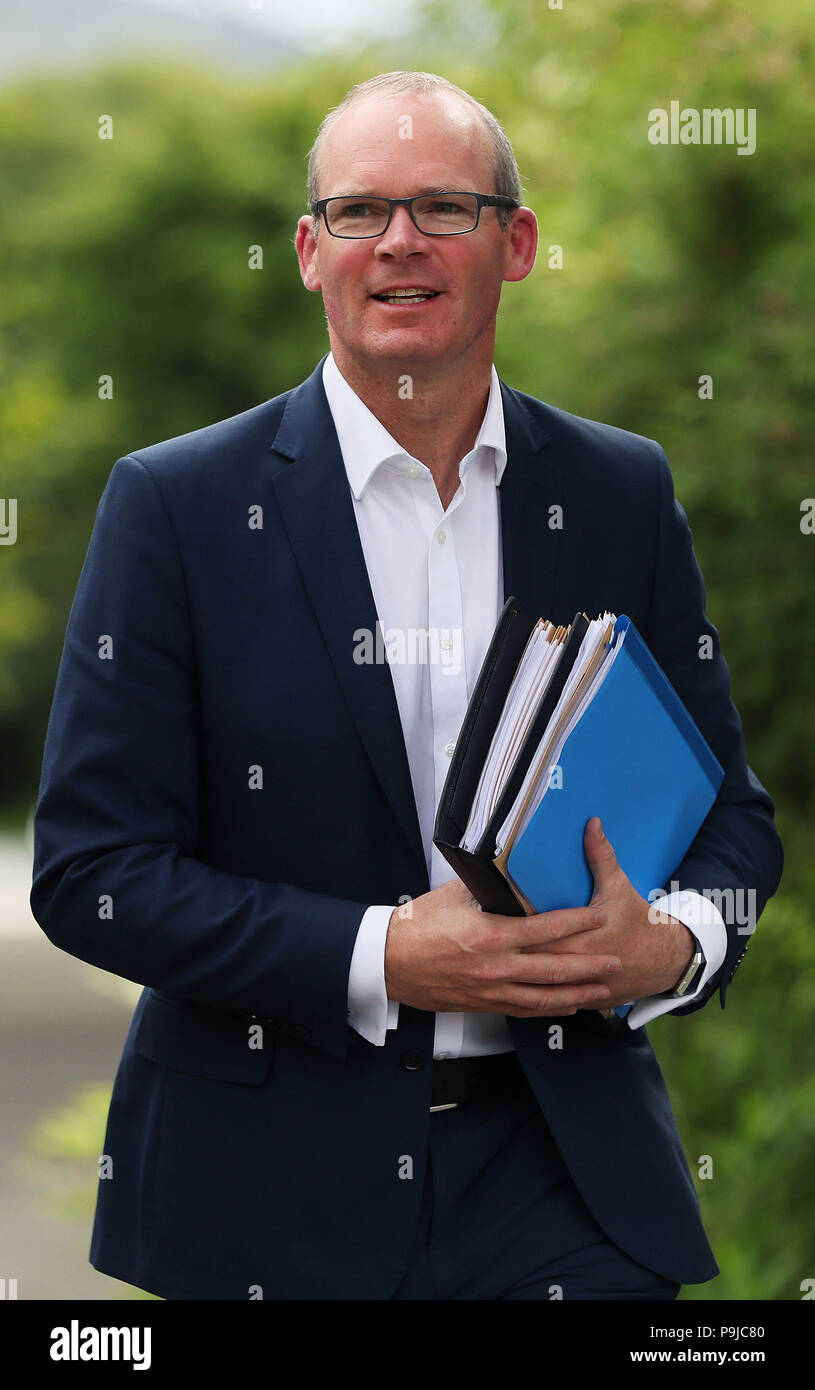 Foreign affairs minister Simon Coveney arriving at Derrynane House ...