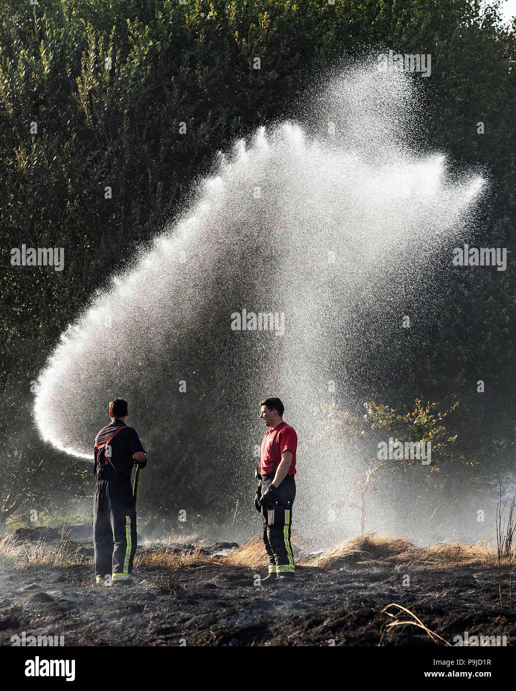 Wanstead flats london hi-res stock photography and images - Alamy