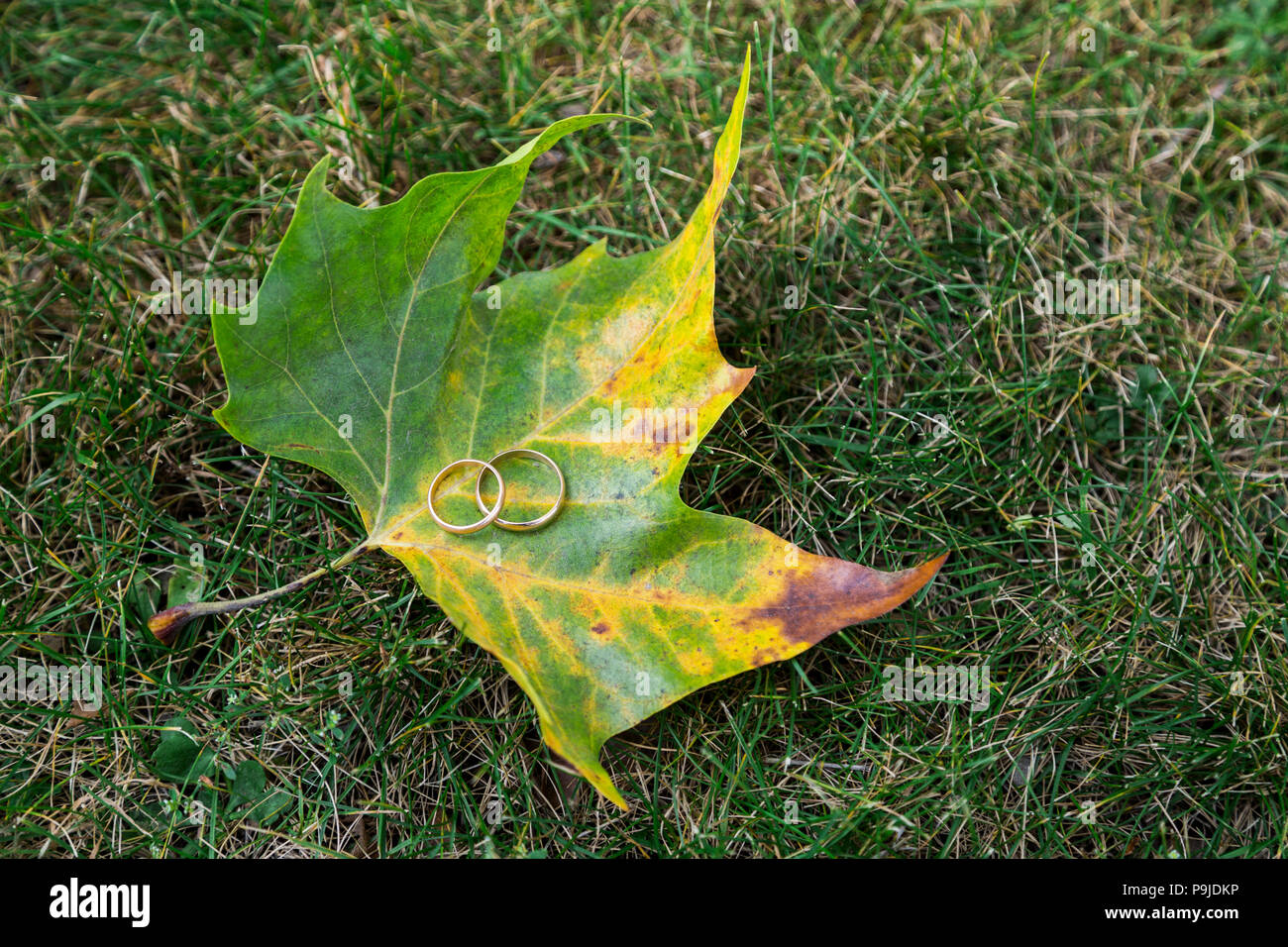 Couple maple leaf symbol hi-res stock photography and images - Alamy