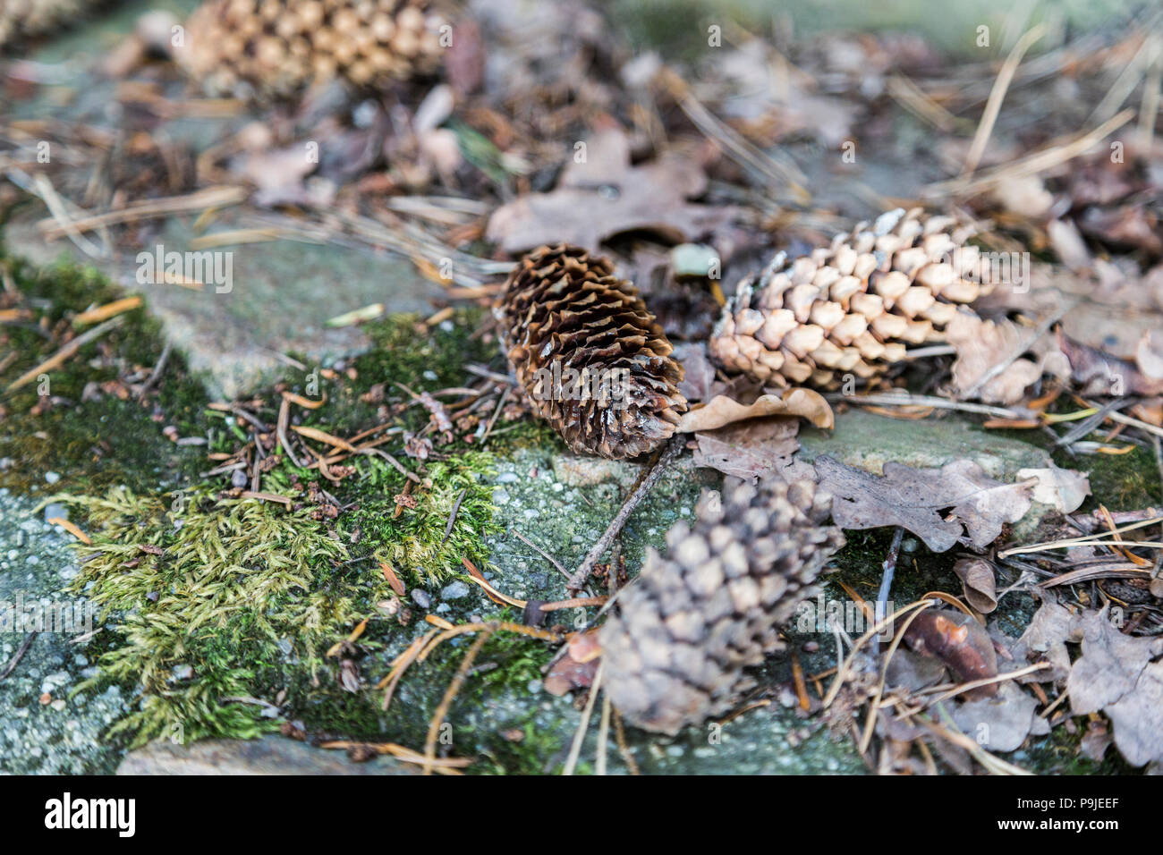 Conesbackground hi-res stock photography and images - Alamy