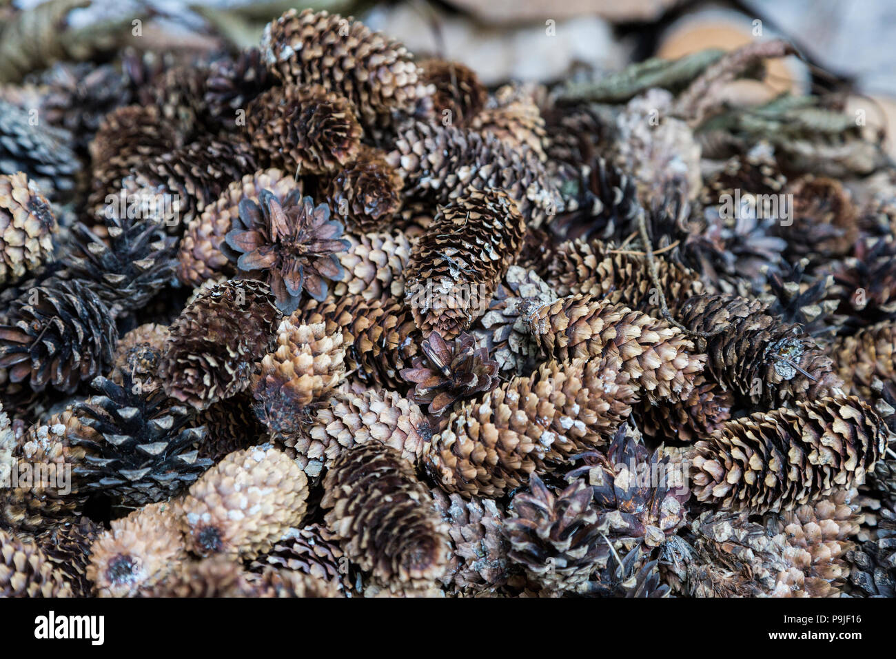 Conesbackground hi-res stock photography and images - Alamy