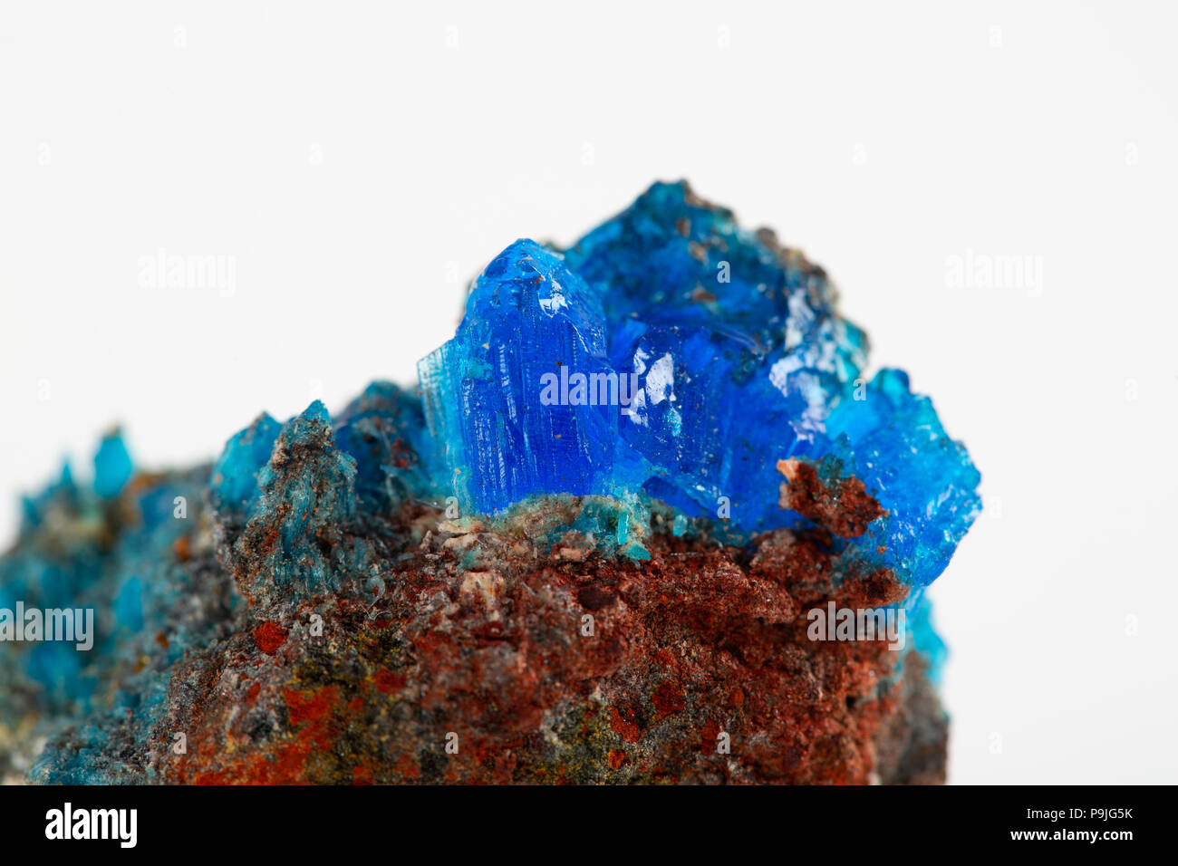 Blue mineral chalcanthite (copper sulfate) on stone on a white ...