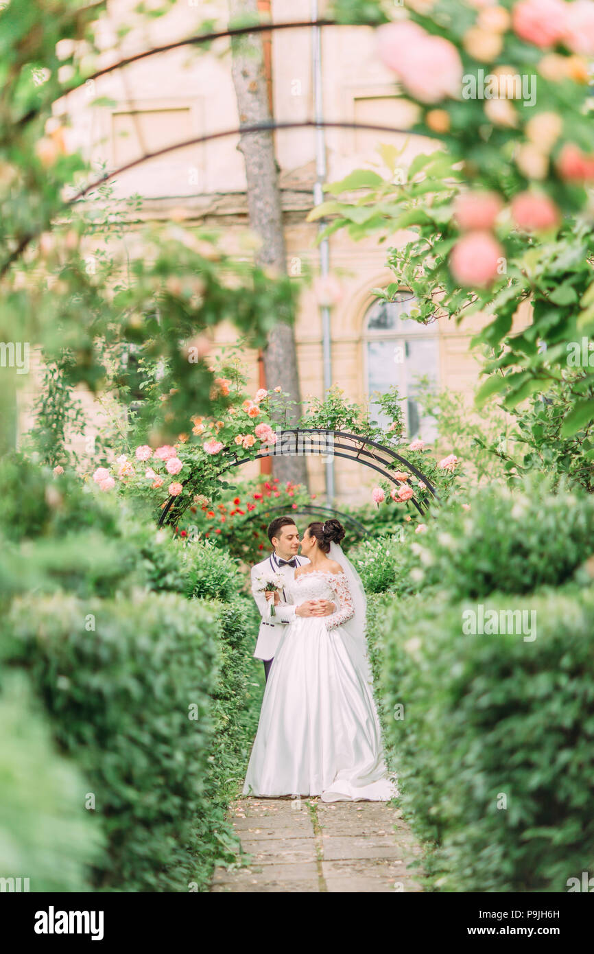 The hugging newlyweds in the lovely rose garden Stock Photo - Alamy