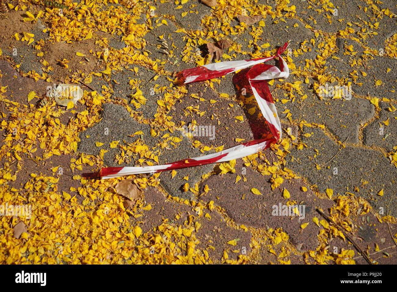 Raanana new and old Stock Photo - Alamy