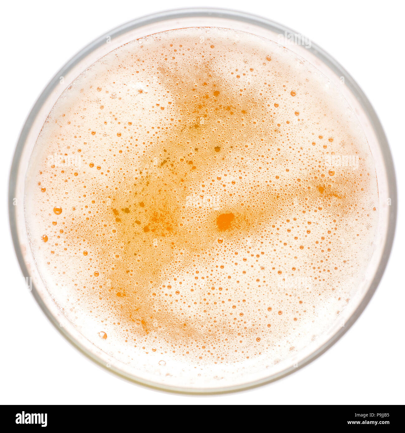 Beer Foam Top