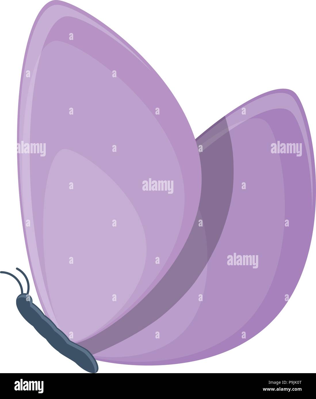 beautiful butterfly icon over white background, vector illustration ...