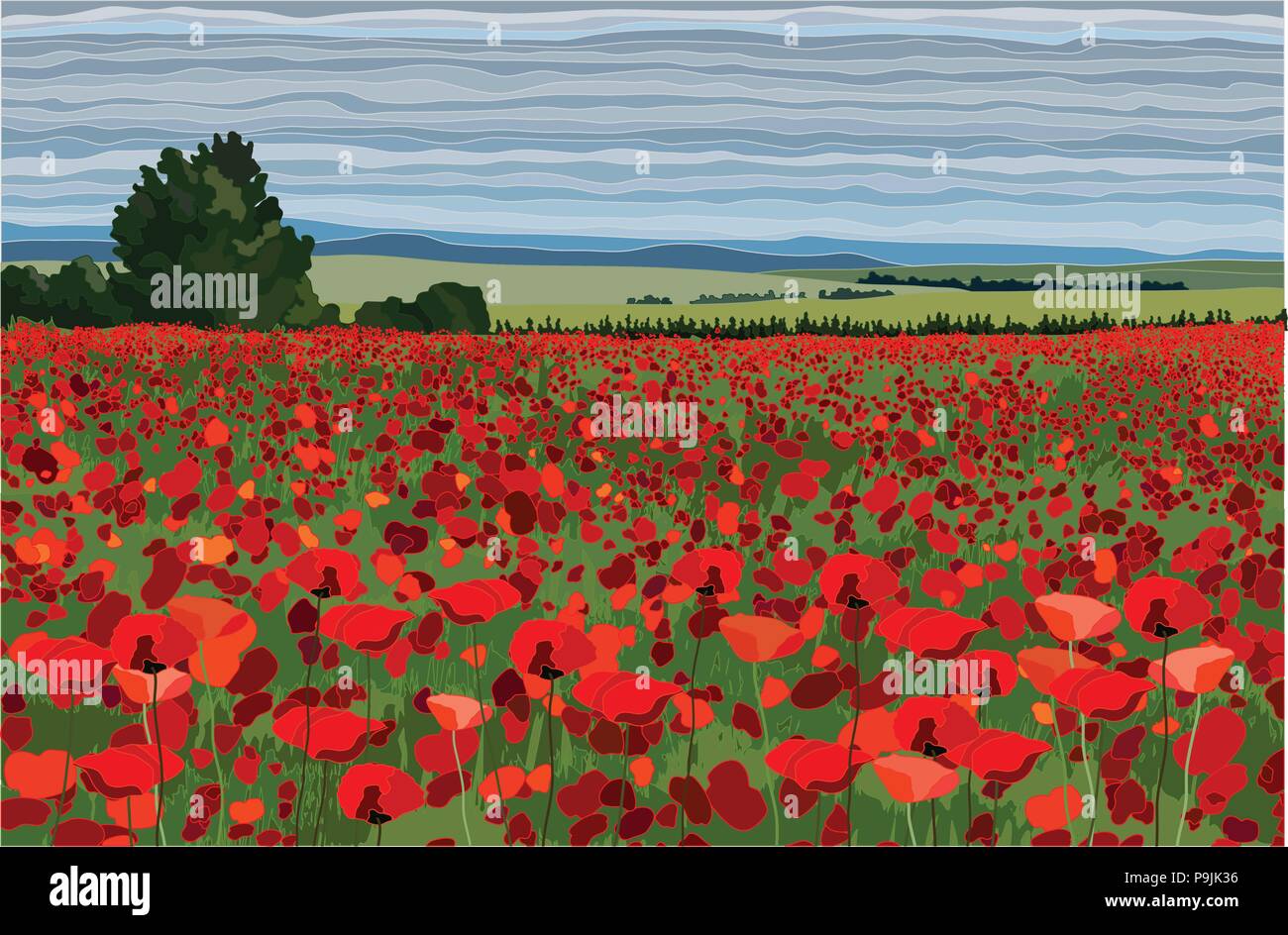 Bright poppy field with bushes, trees and blue sky vector illustration ...