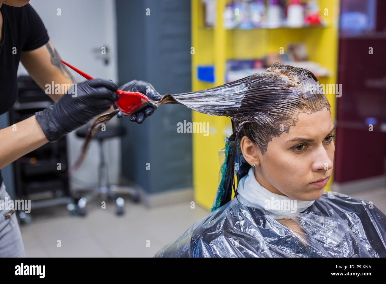 Professional hairdresser, stylist coloring hair of woman client at ...