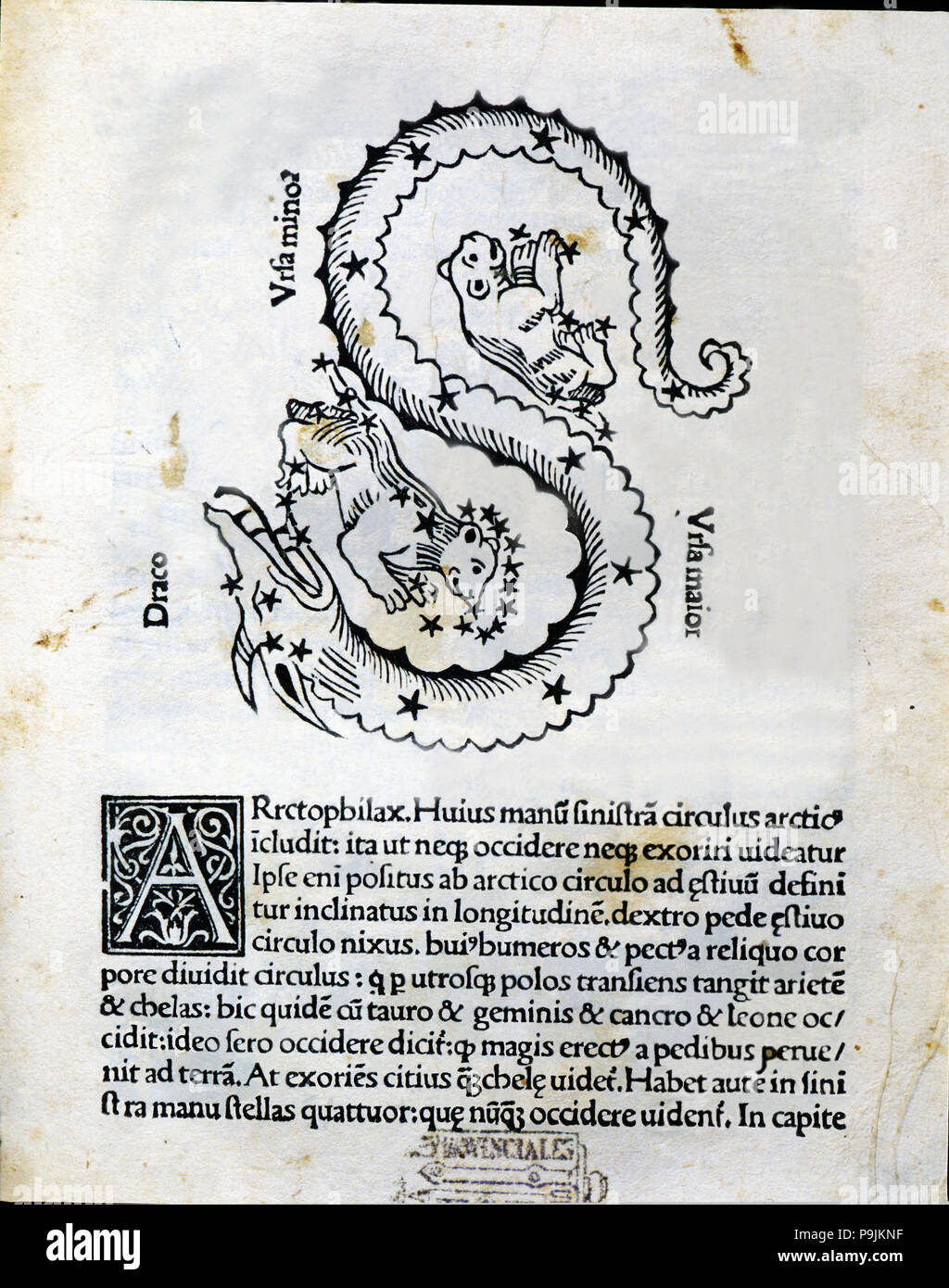 Ursa Major, Ursa Minor and Dragon, mithological interpretation of the ...