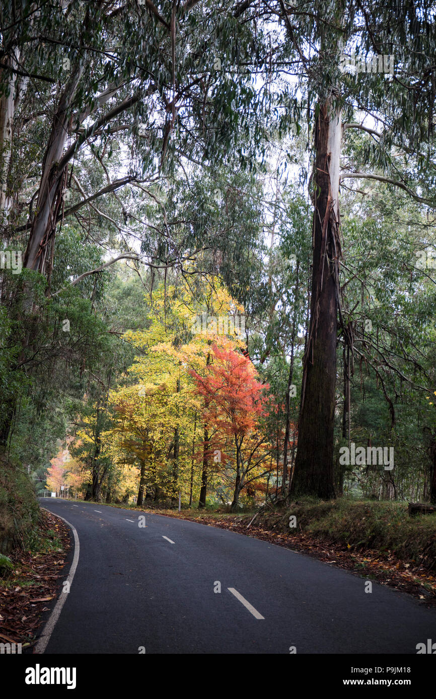 Victoria highway hi-res stock photography and images - Alamy
