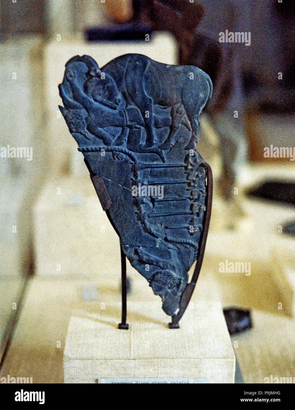 Fragment of a palette with images of a bull charging at an enemy, it ...