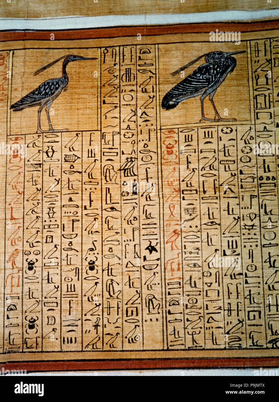 Turin papyrus hi-res stock photography and images - Alamy