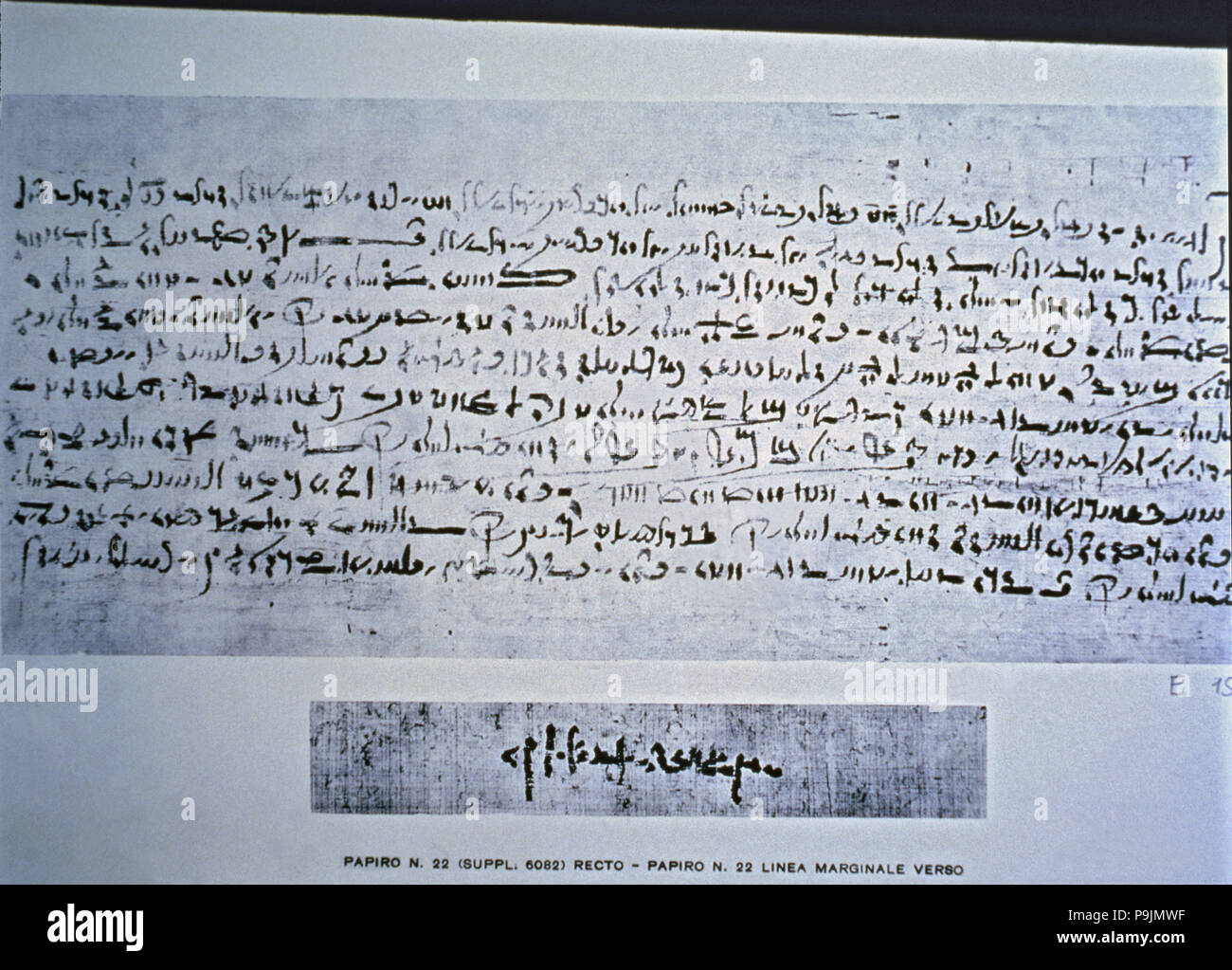 Demotic egyptian hi-res stock photography and images - Alamy