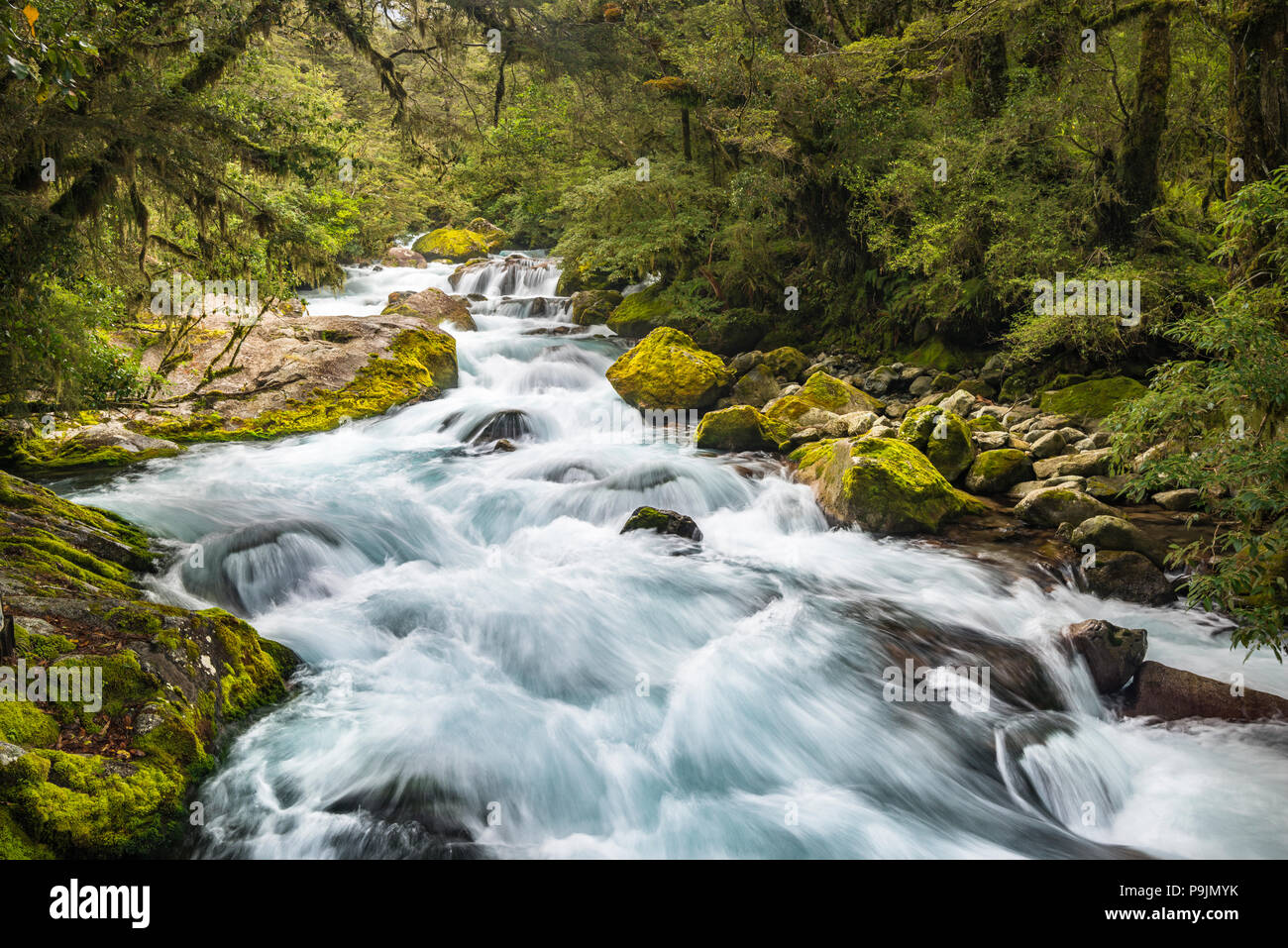 River course at Marian Falls, Fiordland National Park, Te Anau ...