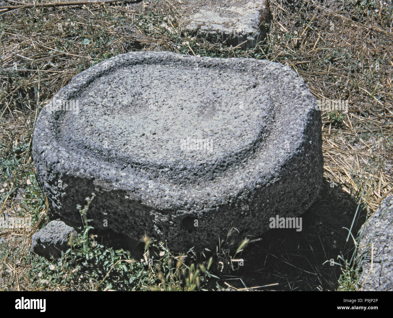 Aztec Sacrificial Stone