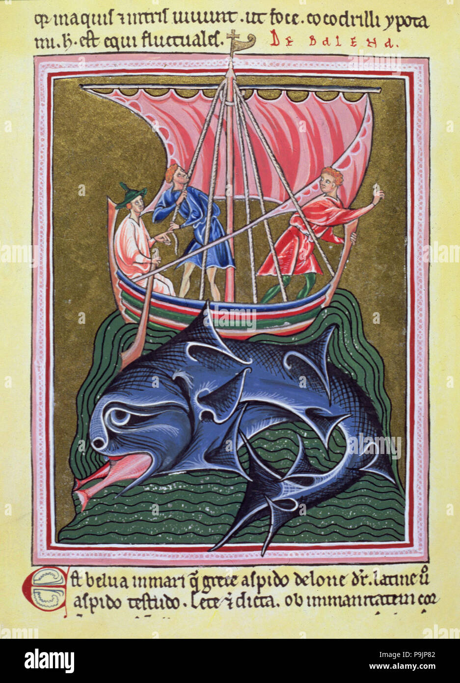 The whale, a miniature in an English Bestiary Stock Photo - Alamy