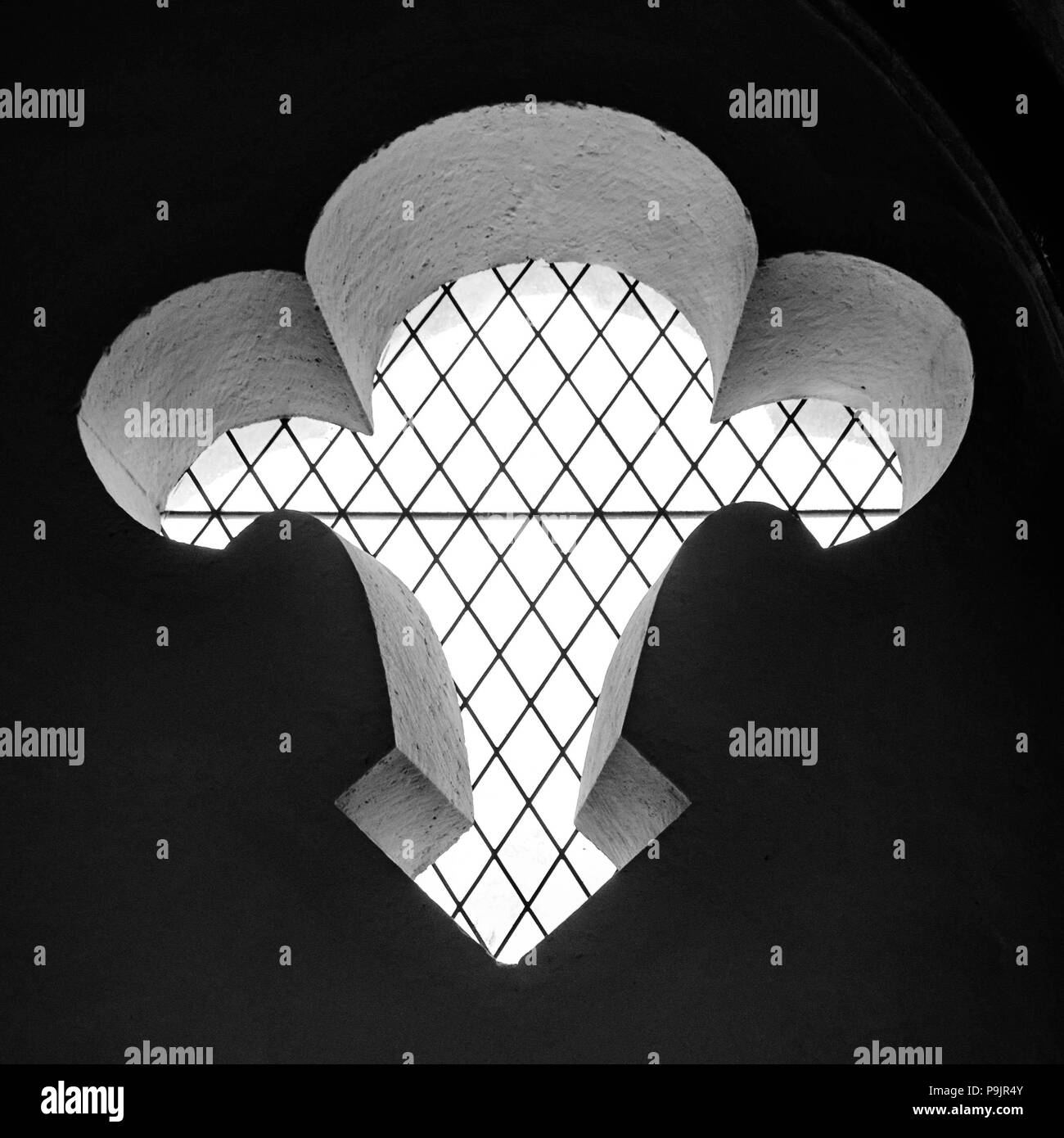 Japanese water lily Black and White Stock Photos & Images - Alamy