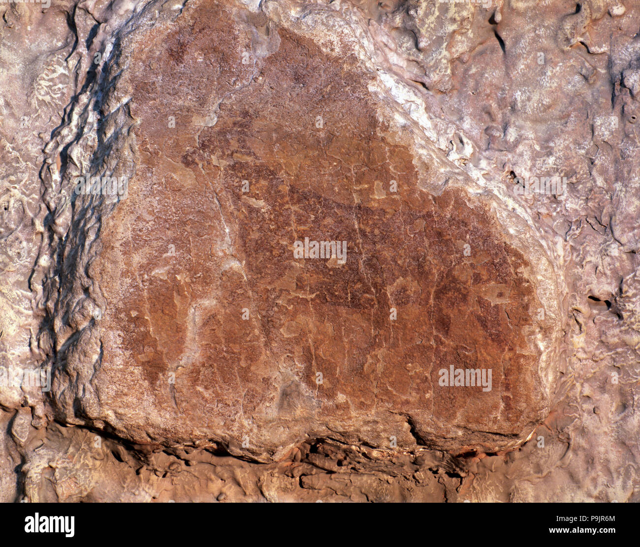 Naturalistic colors hi-res stock photography and images - Alamy