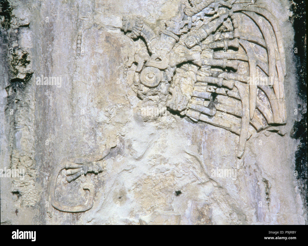 Palenque king hi-res stock photography and images - Alamy