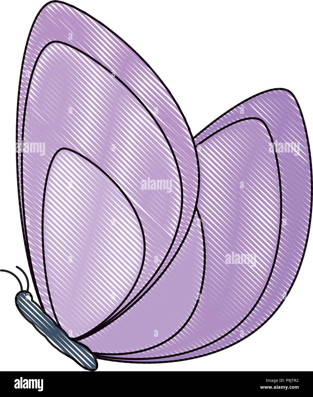 beautiful butterfly icon over white background, vector illustration ...