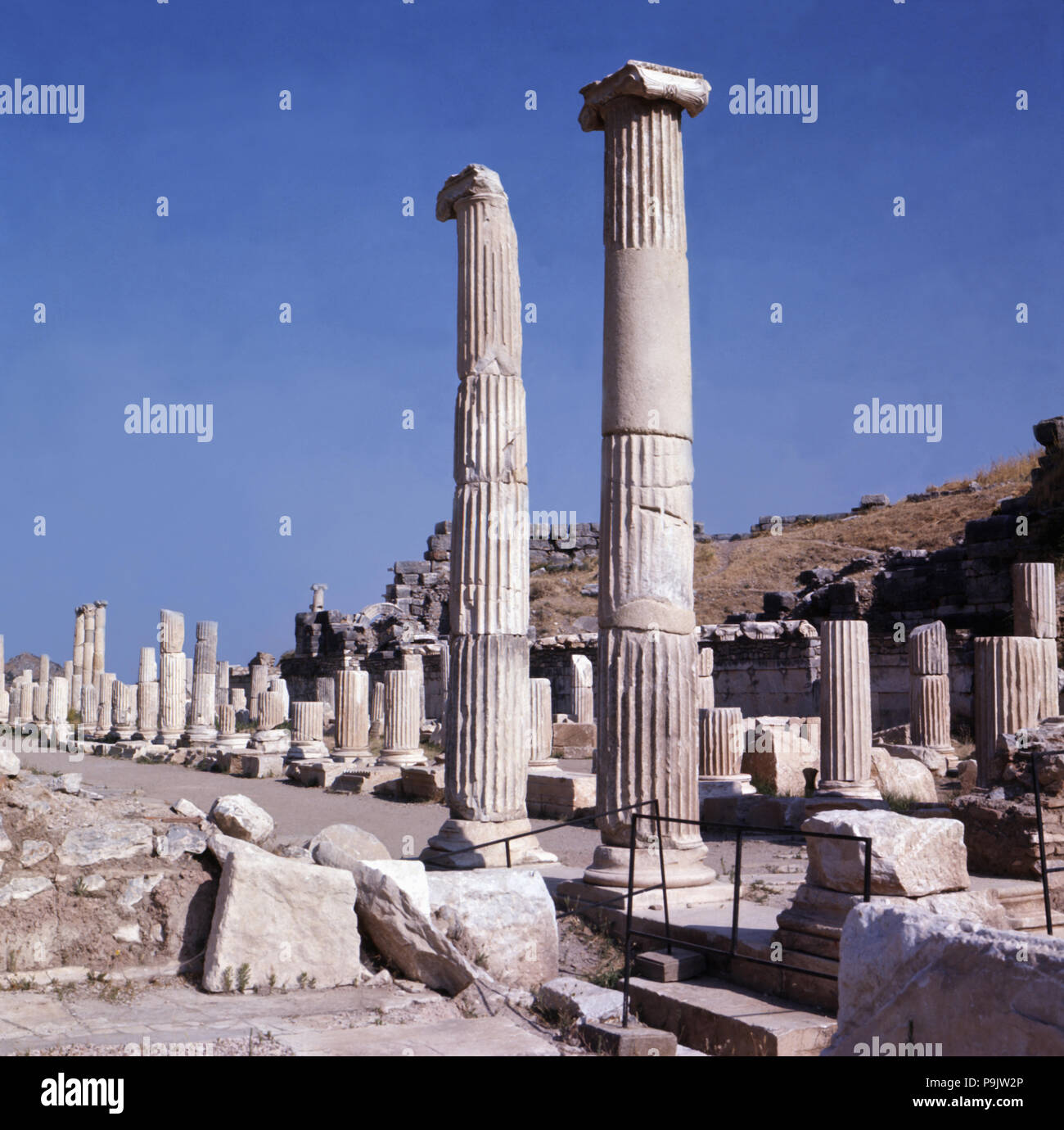 Columns from the ruins of Ephesus Stock Photo - Alamy