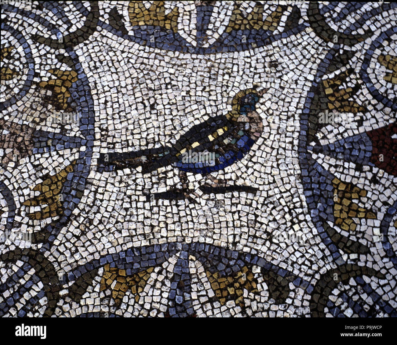 Mosaic in the Amphitheatre house representing a bird, preserved in the ...