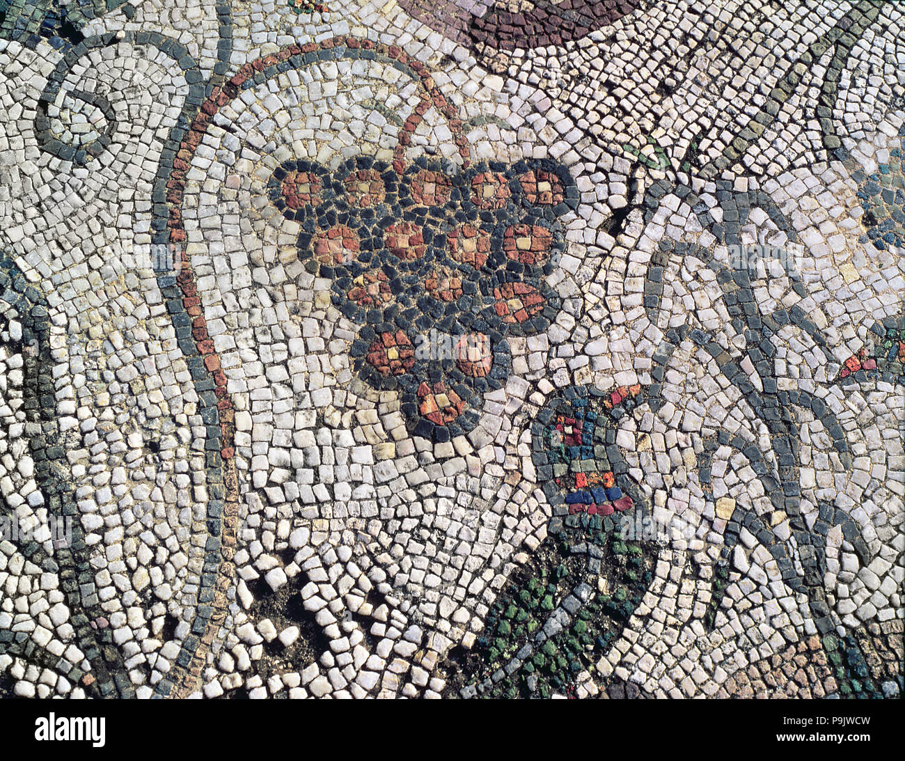 Mosaic in the Amphitheatre house representing a cluster of grapes and a ...