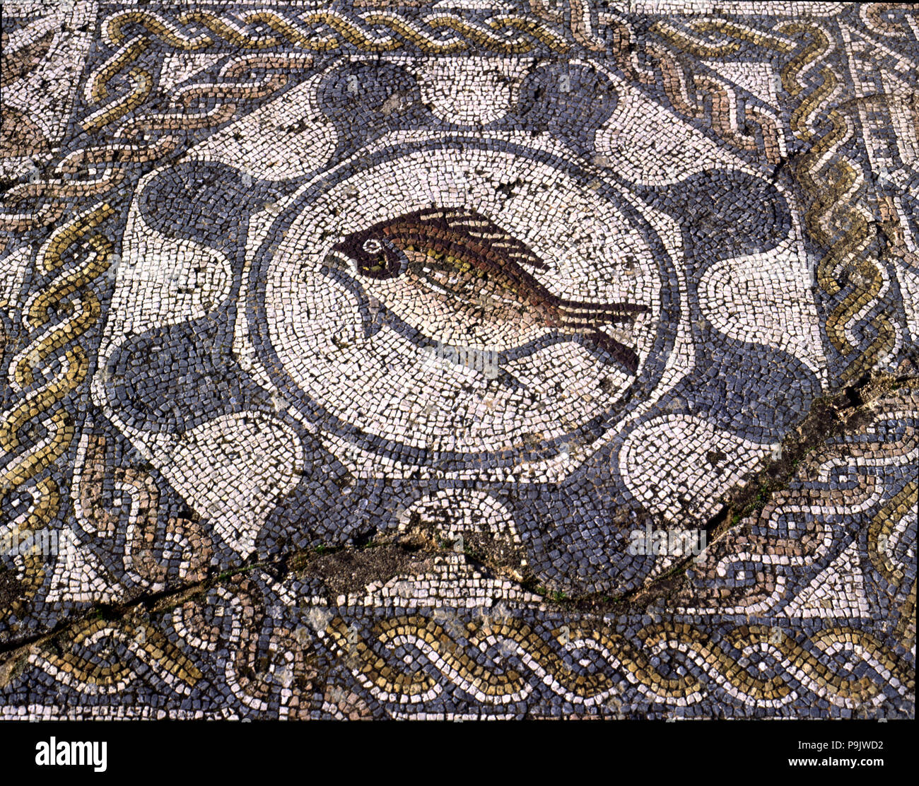 Mosaic in the dining room of the Amphitheatre house representing a fish ...