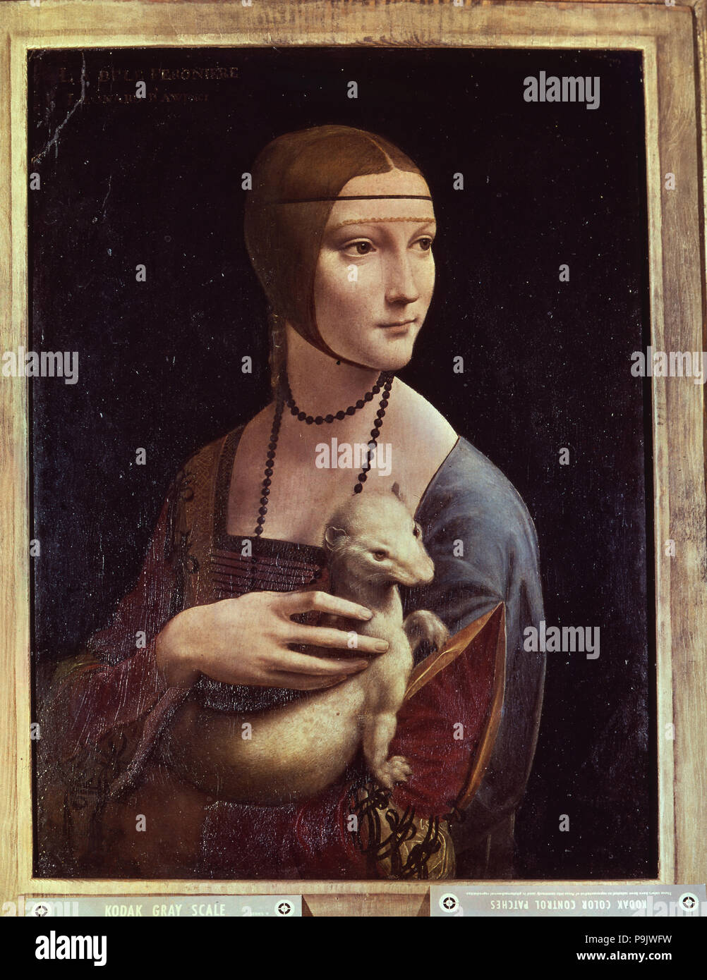 Lady with a stoat', by Leonardo da Vinci Stock Photo - Alamy