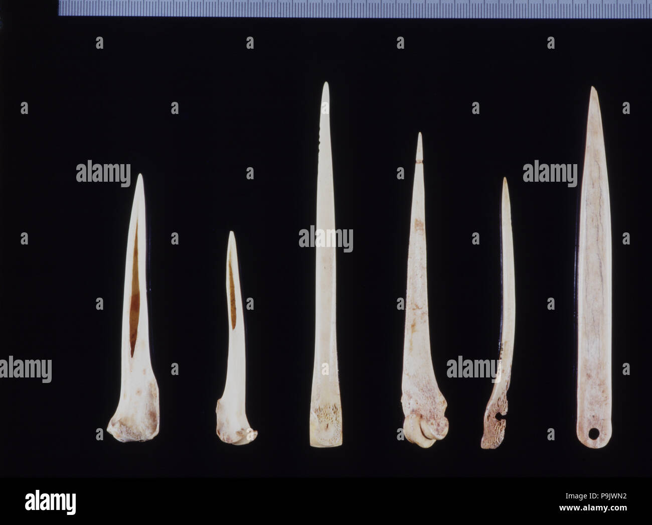 Prehistoric tool punch hi-res stock photography and images - Alamy