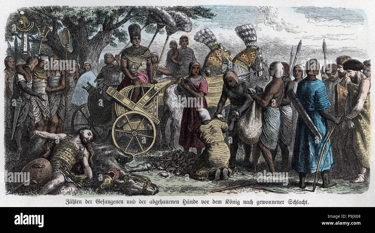 Ancient History. Egypt. Counting the hands cut to prisoners. German ...